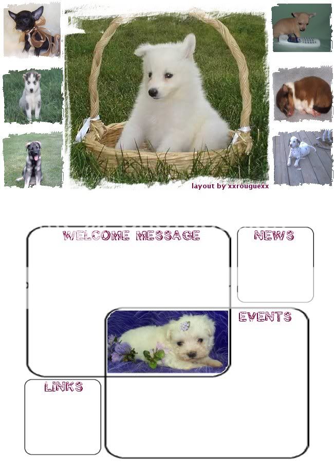 Rougue's Guild Layouts-!-