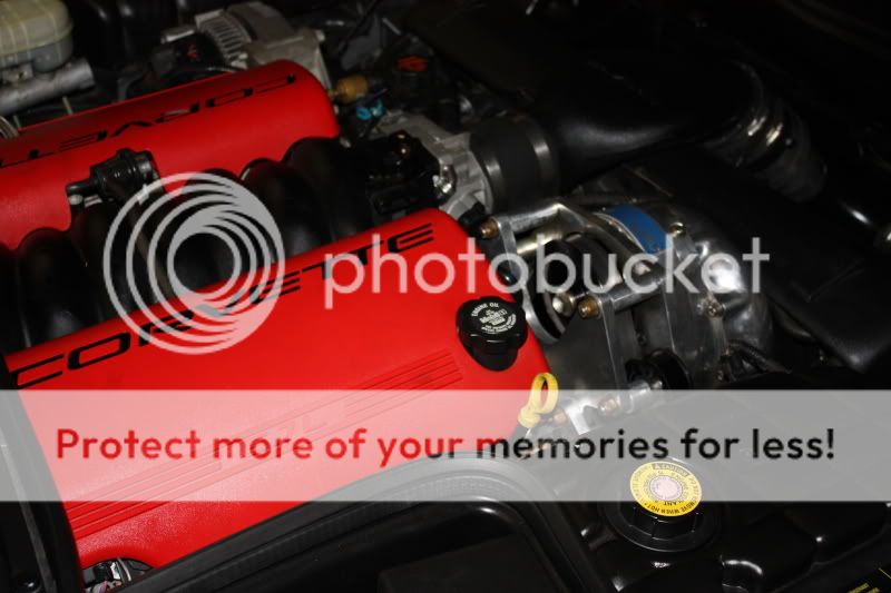 Procharger Setup - CorvetteForum - Chevrolet Corvette Forum Discussion