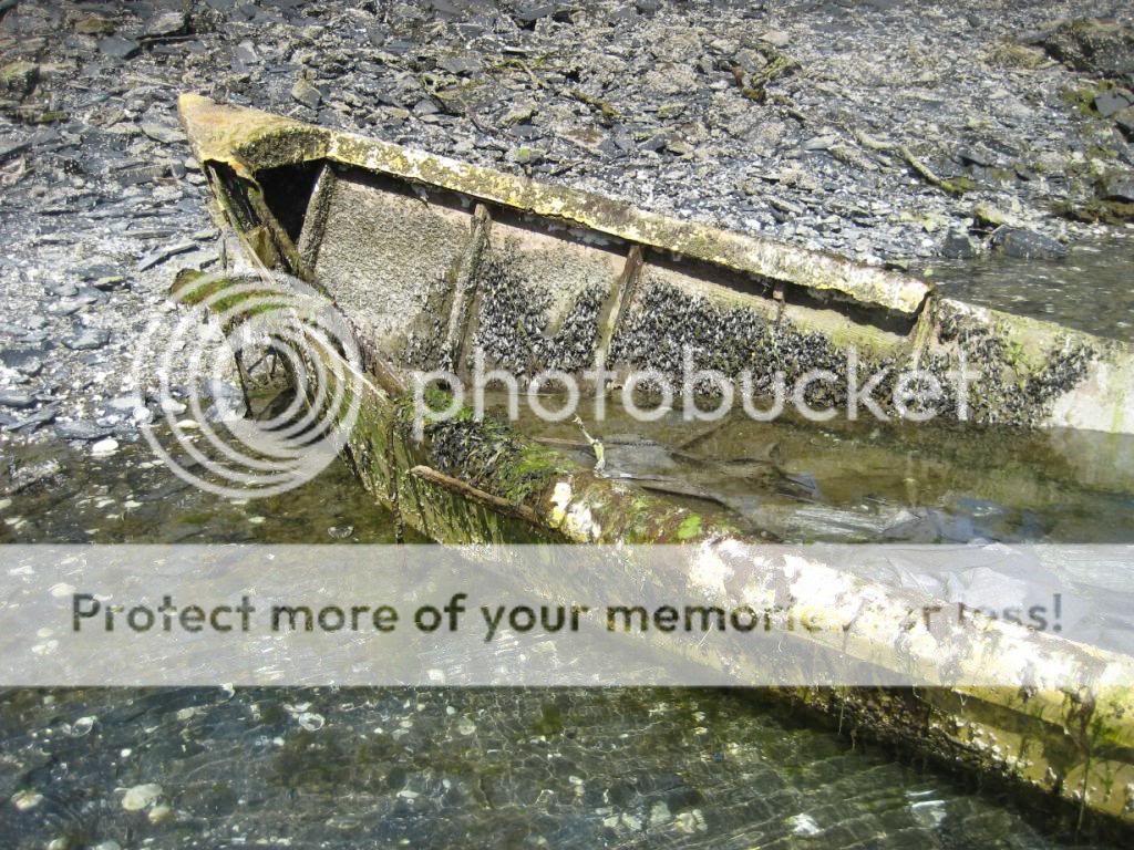 Photo feels like it would fit in a kamo gari story - 24hourcampfire