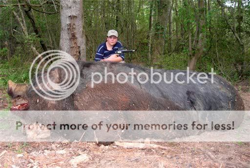 Holy Hog!! | Bloodydecks