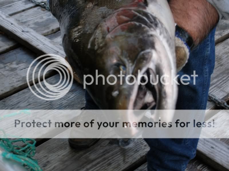 Eel Lake Oregon | The FAL Files