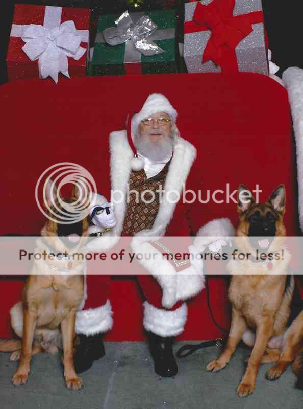 The Boys with Santa | German Shepherds Forum