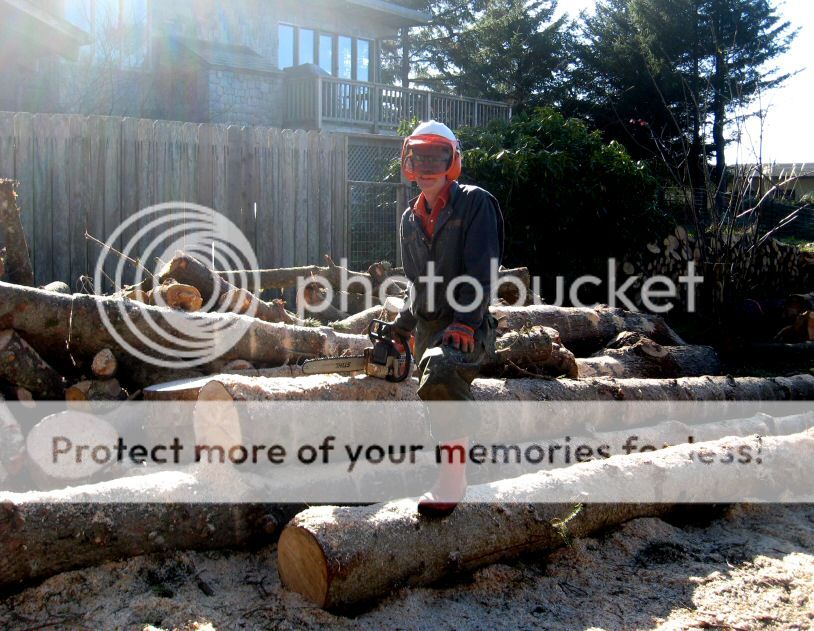 Very Short Logs, Stacking on End | Hearth.com Forums Home