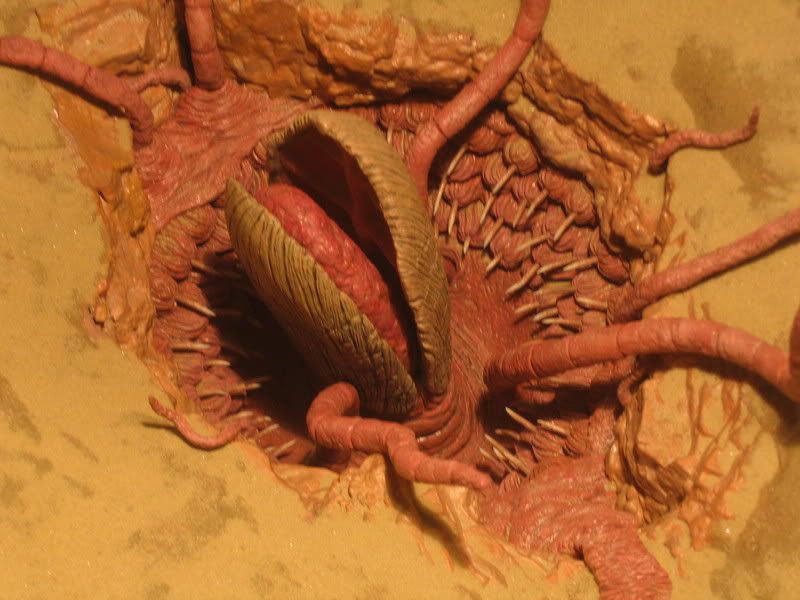 Sarlacc Anatomy