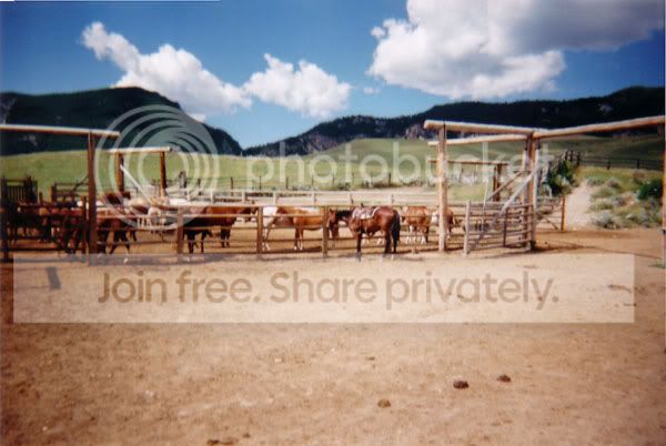 Corral Designs | Ranchers.net