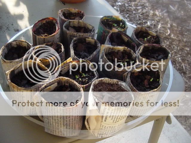 What to do with leftover packing material? | She\'s Crafty!