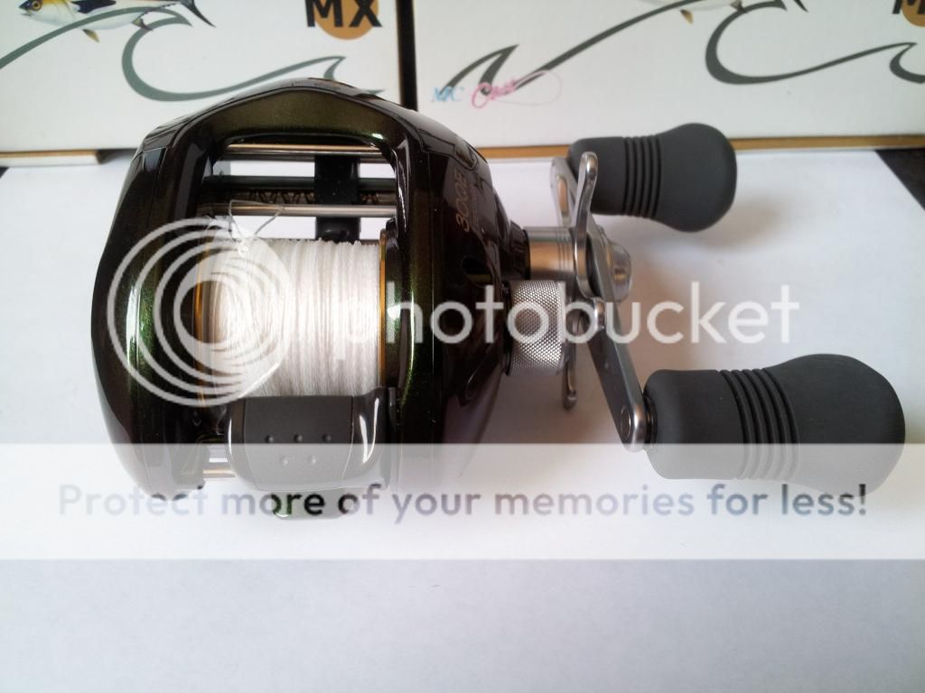 New Shimano Curado 300E | Bloodydecks