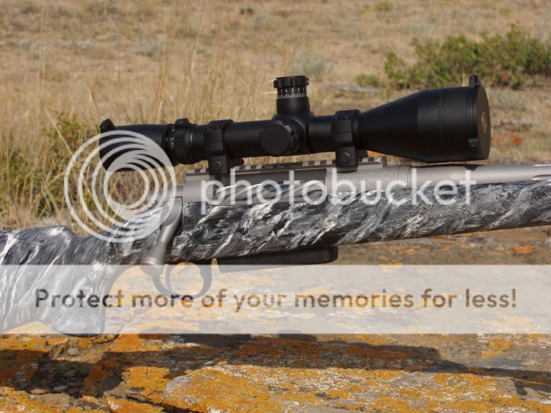 APS Raptor Hunter Rifle | Long Range Hunting Forum – Expert Gear ...