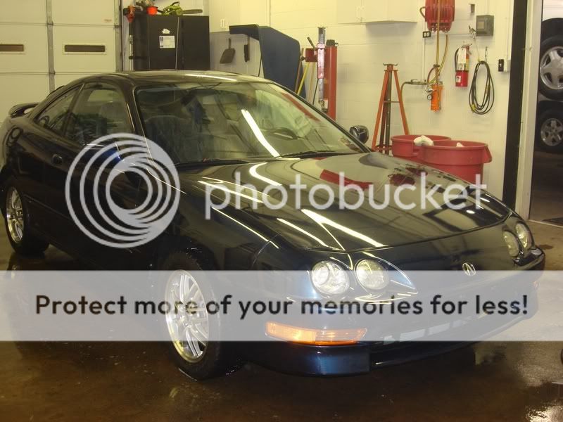 what is the rarest color teg.. inorder | Page 11 | Team Integra Forums